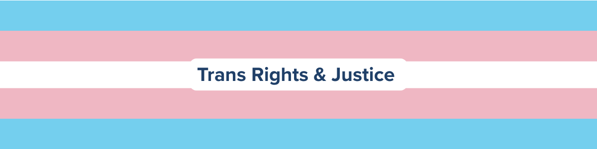 Trans Rights & Justice Flag Header (1200 x 300 px) | Women's Law Project