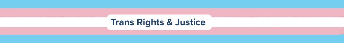 Trans Rights & Justice-Flag Header 1500 x 150 | Women's Law Project