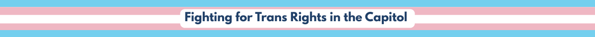 Trans Webpage Capitol Header (1) | Women's Law Project